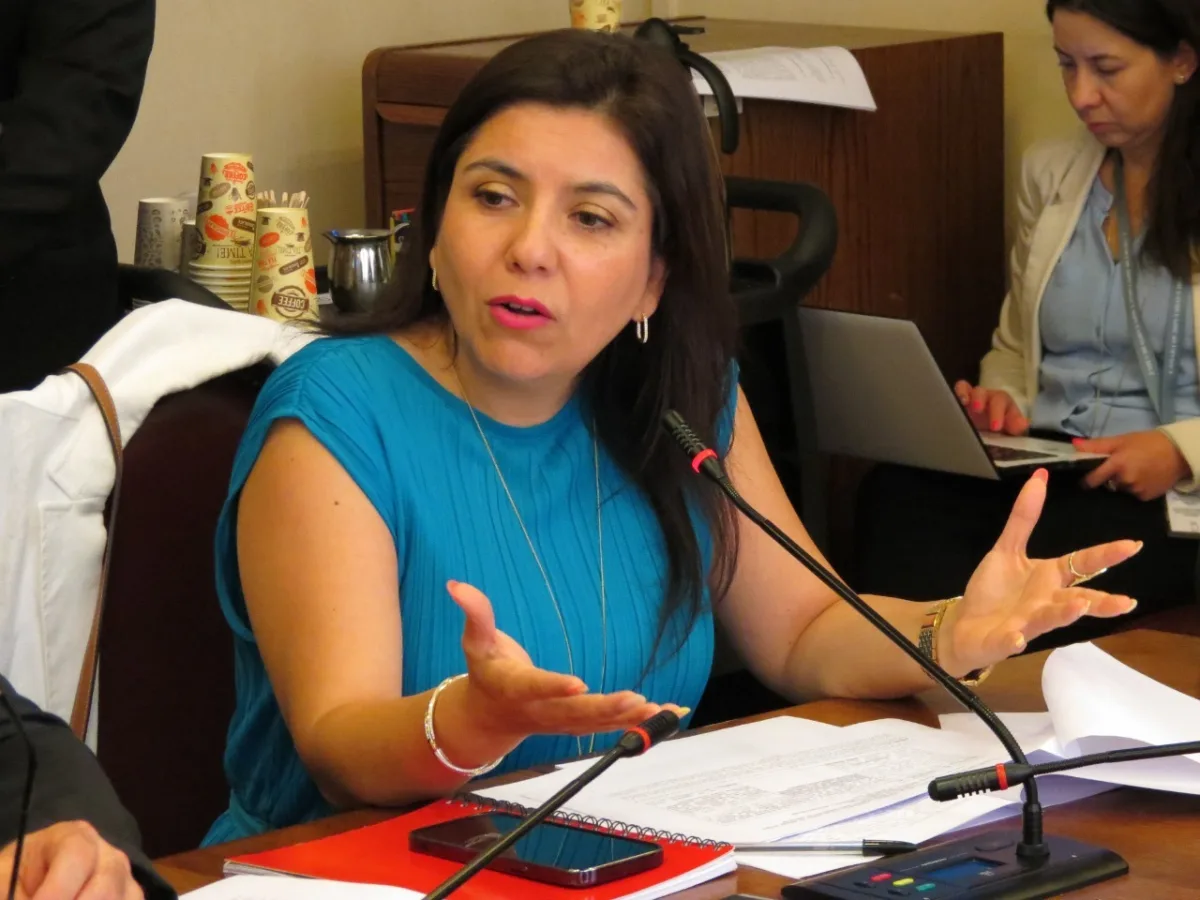 Diputada Danisa Astudillo (PS) critica la postura de las Isapres: "No ...